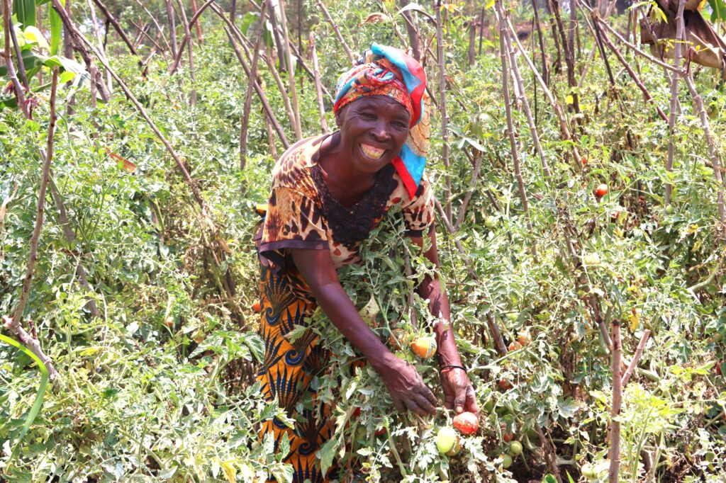 RDC :"Rikolto", une moisson d'espoir pour les agriculteurs congolais ...